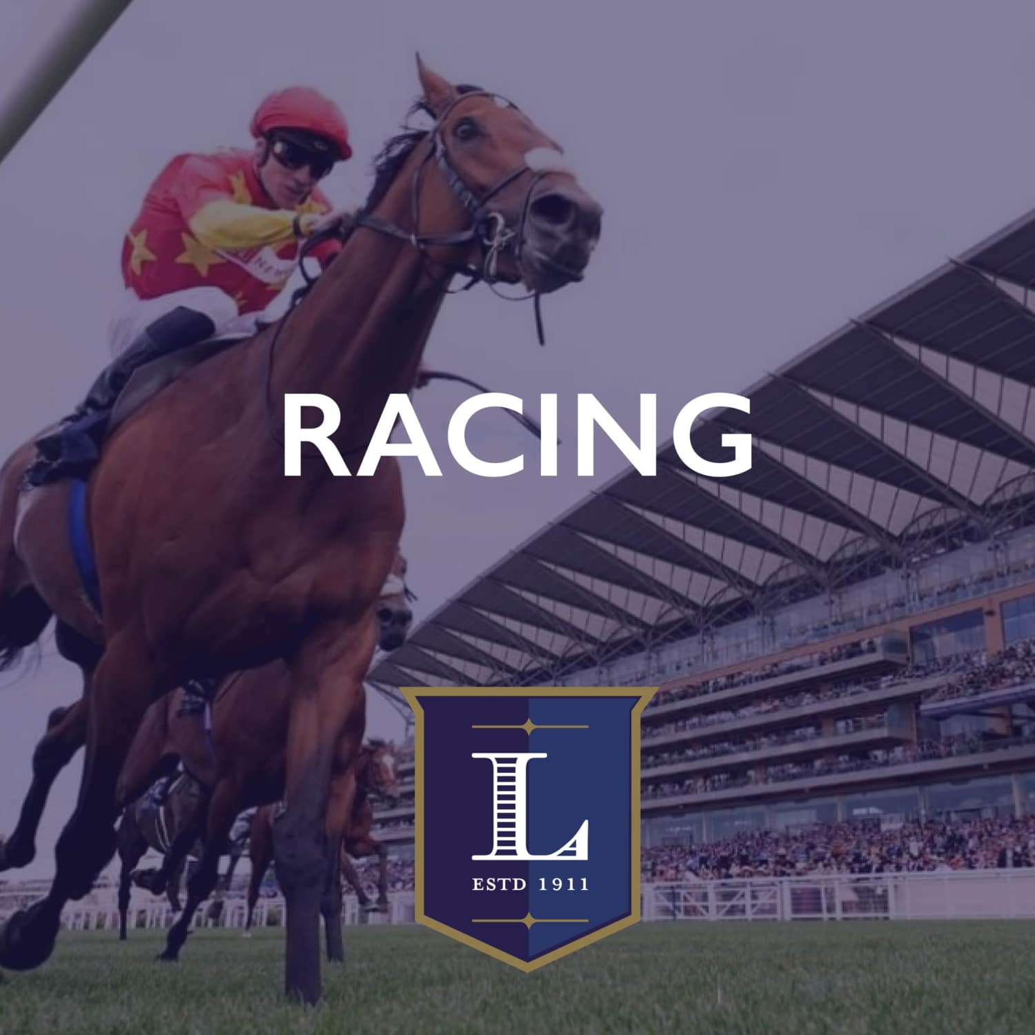 UPCOMING EVENTS - LYDON HOUSE