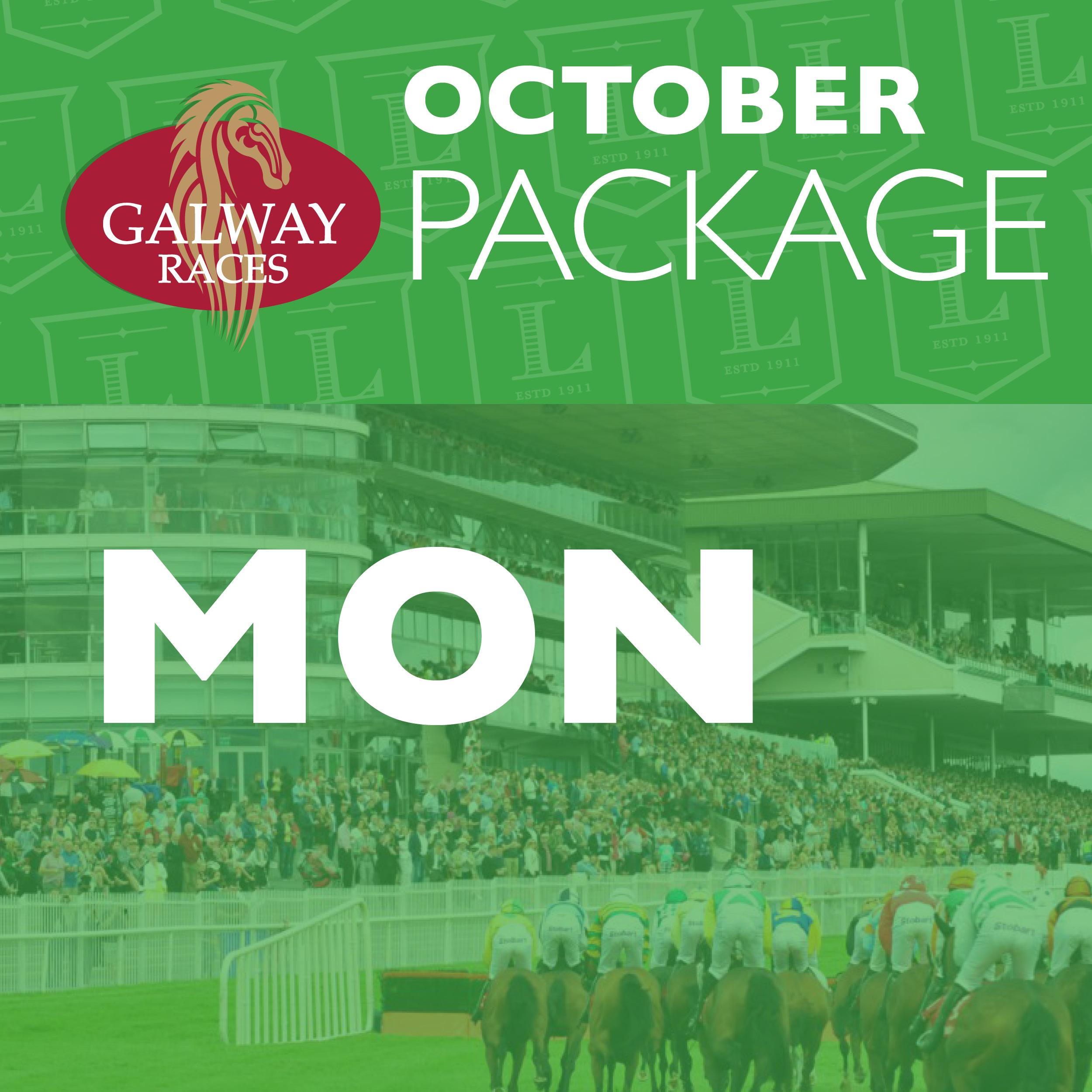 GALWAY 27th OCT PACKAGE - LYDON HOUSE